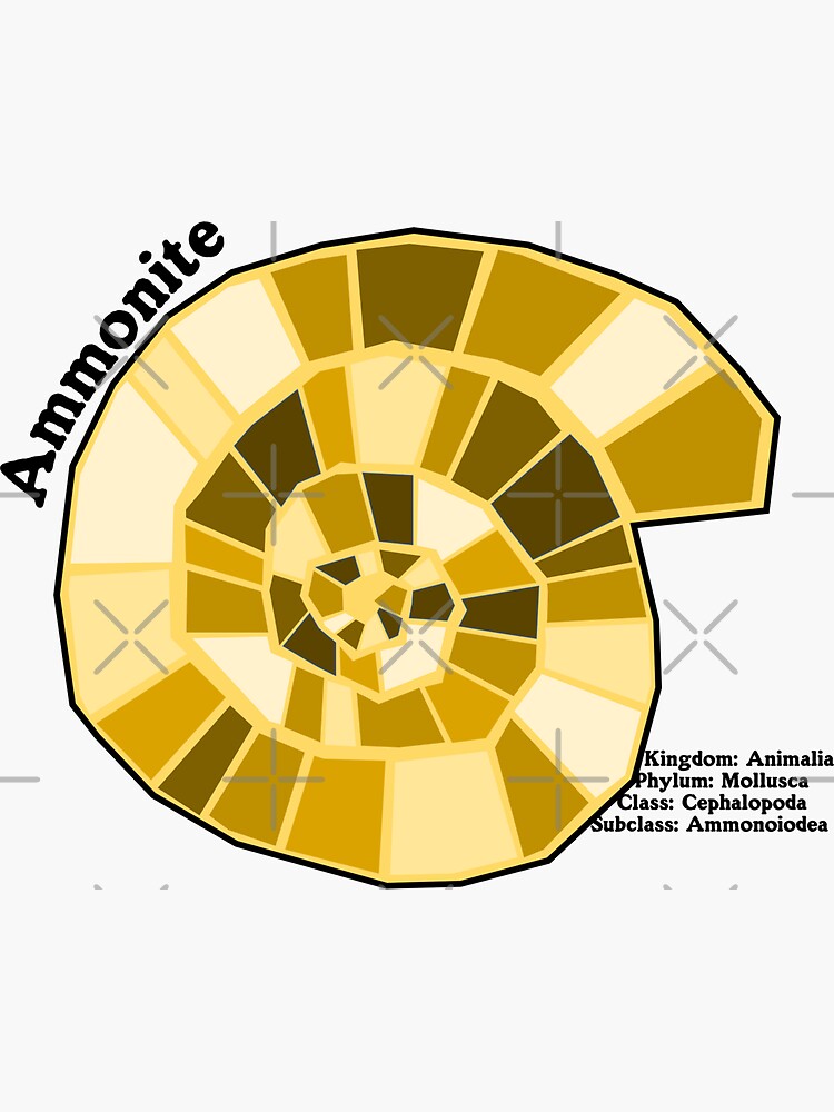 "Ammonite" Sticker by RockADoodles | Redbubble
