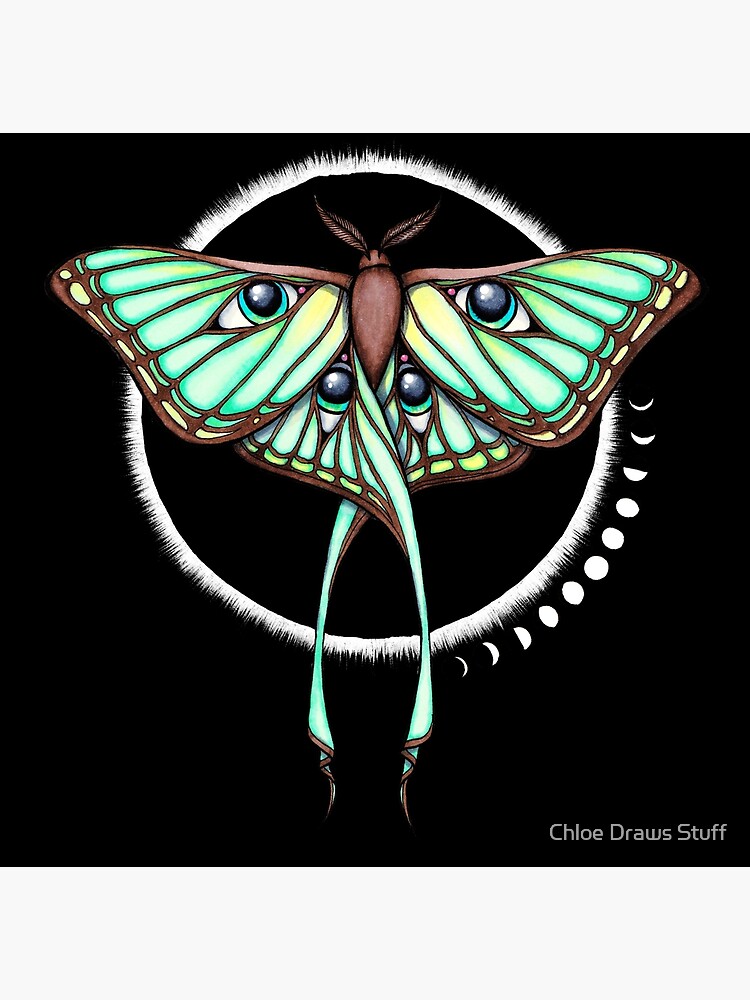 "Lunar Eclipse Moth" Poster for Sale by chlodrawsstuff | Redbubble