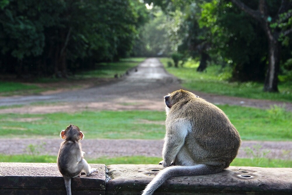 "Monkeys Father & Son - Angkor Wat, Cambodia." by Tiffany Lenoir ...