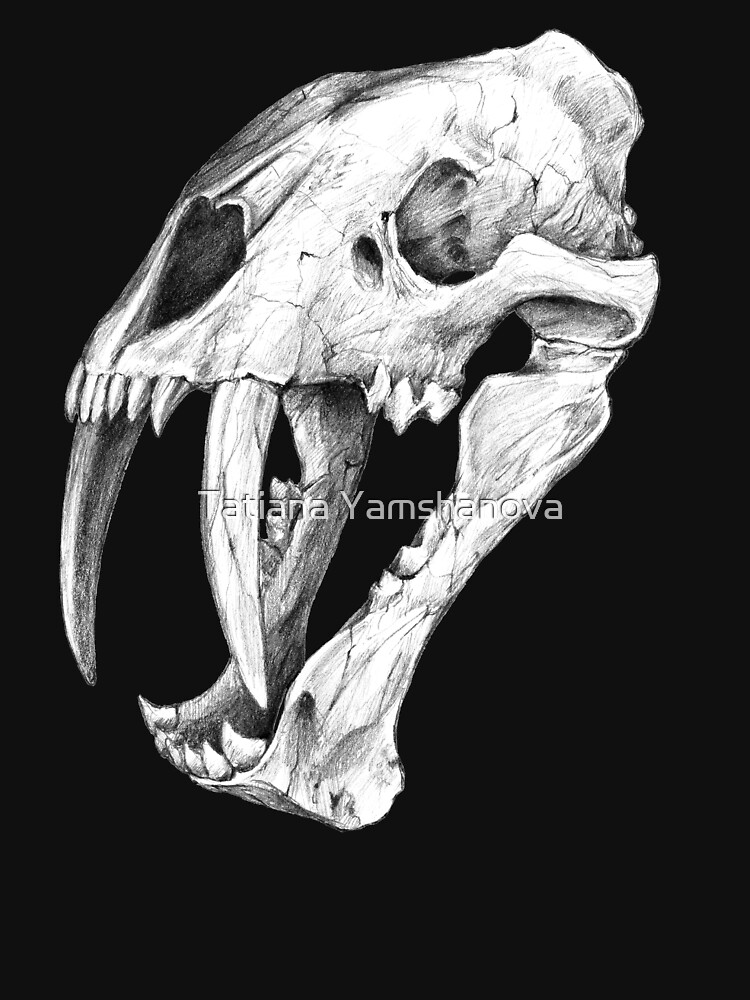 "Eusmilus 'False Sabertooth Cat' skull | Graphite Pencil Art" T-shirt ...