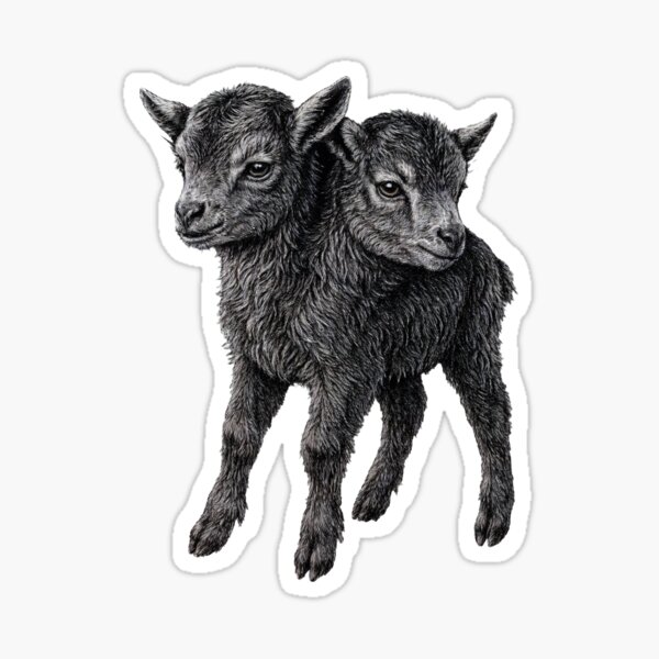 "Two-Headed Goat Kid – Gothic Dark Engraving-Style Oddity Design ...