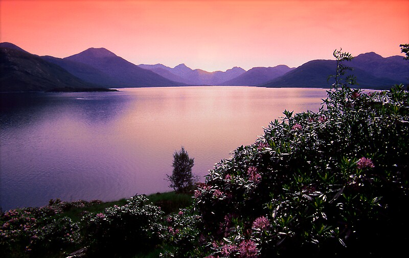 "Gloaming (1)" by Karl Williams | Redbubble