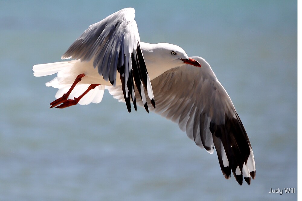 "Frozen Motion" by Judy Will | Redbubble