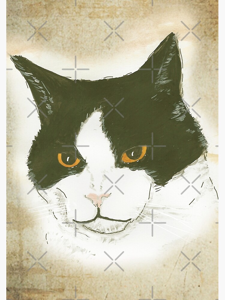 "George the Cat " Poster for Sale by iancoppack | Redbubble