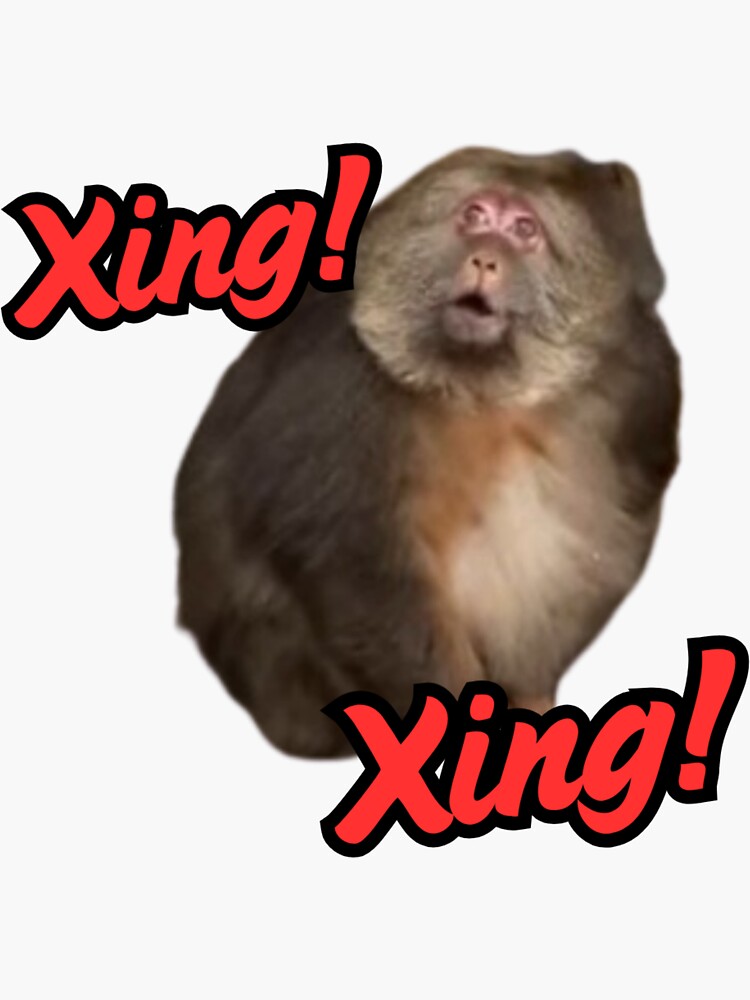 "Xing xing" Sticker for Sale by whatthefoxsays | Redbubble