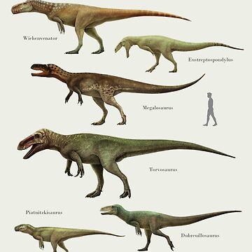 "MEGALOSAUR Dinosaurs. size comparison" Poster by mariolanzas | Redbubble