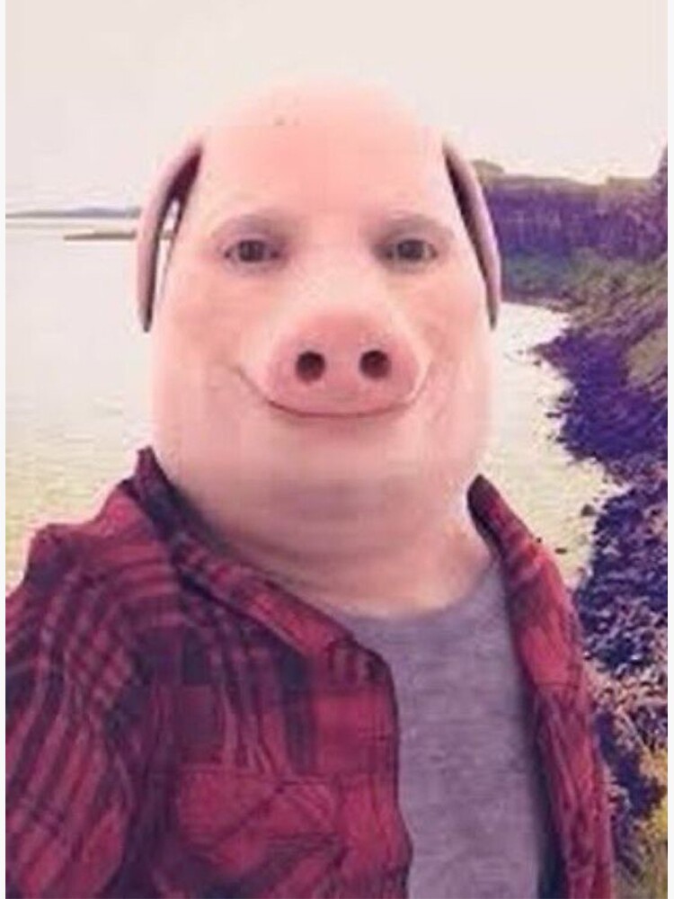 "John Pork" Poster for Sale by SchizoArt | Redbubble