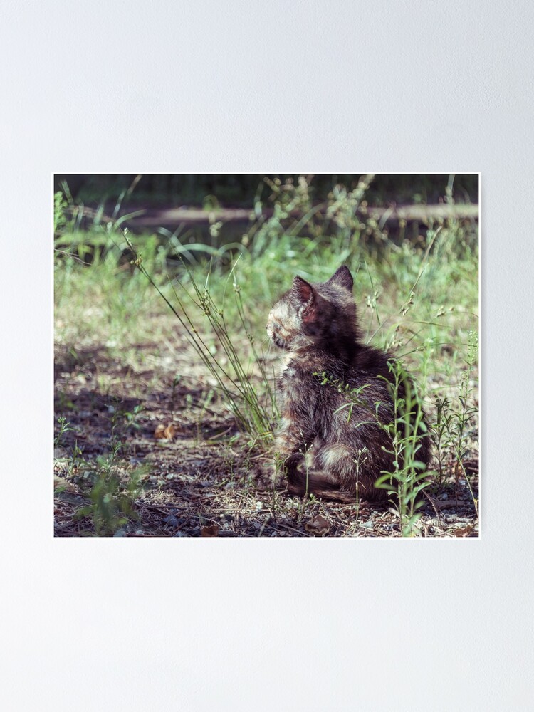 "Sunbather" Poster for Sale by jampersand | Redbubble