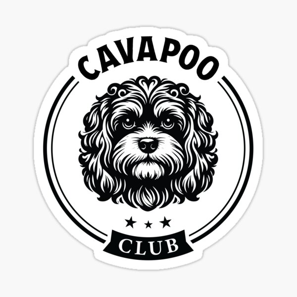 Cavapoo Merch & Gifts for Sale | Redbubble