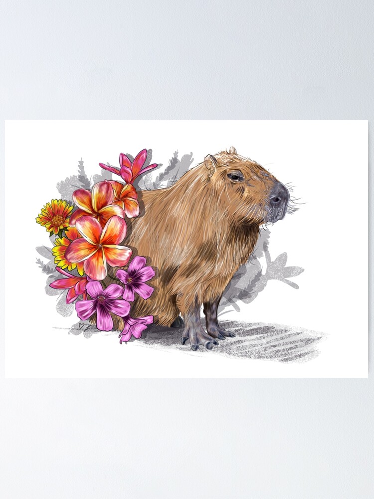 "Capybara" Poster for Sale by MFIllustration | Redbubble