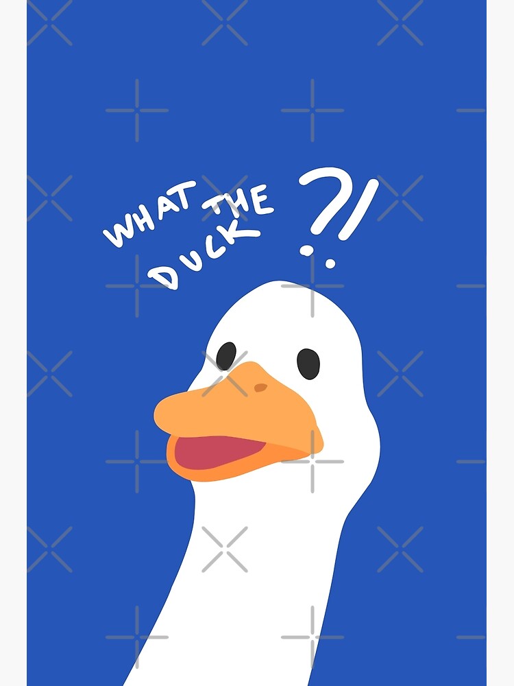 Blue Duck Memes