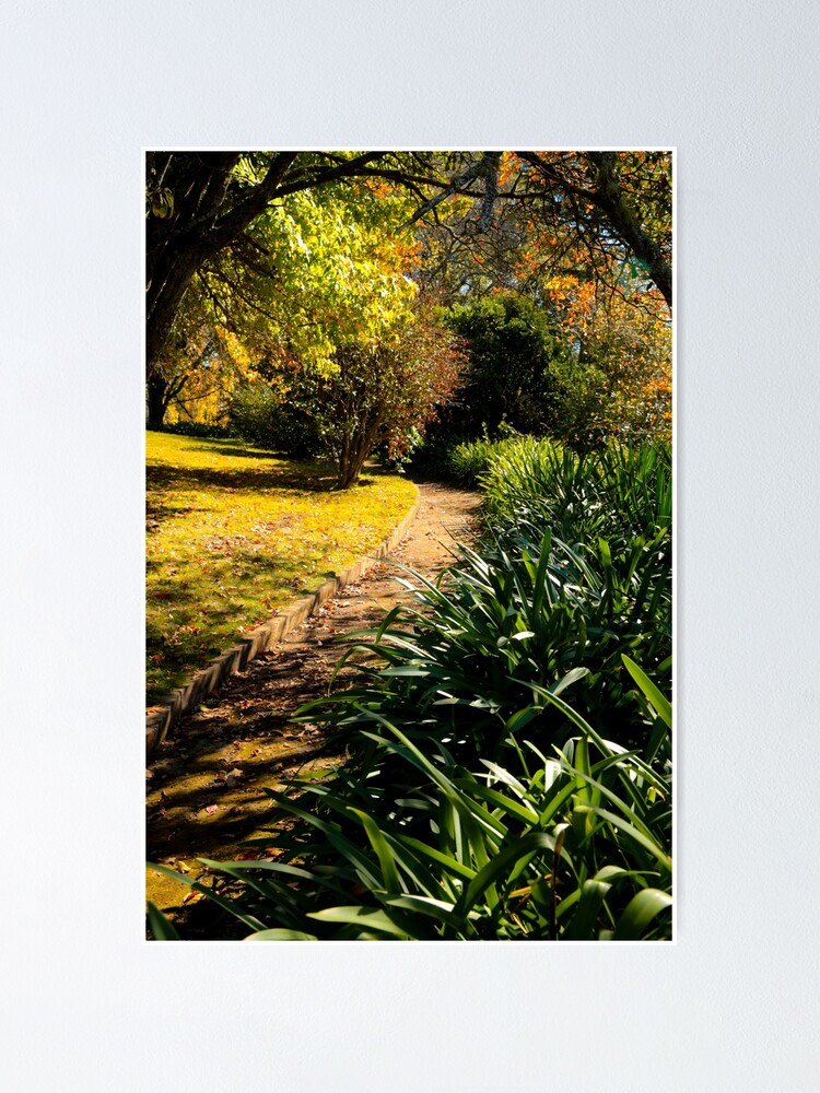 "Don't lead me down the wrong garden path " Poster by Ninasphotos ...