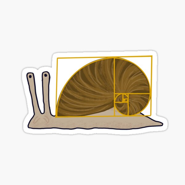 "Fibonacci Sequence Snail" Sticker for Sale by sunlucky | Redbubble