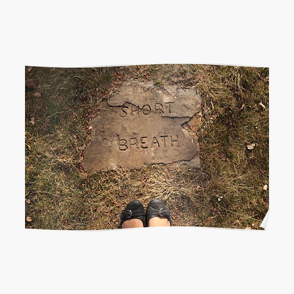 "Stepping stone of life " Poster by Ninasphotos | Redbubble