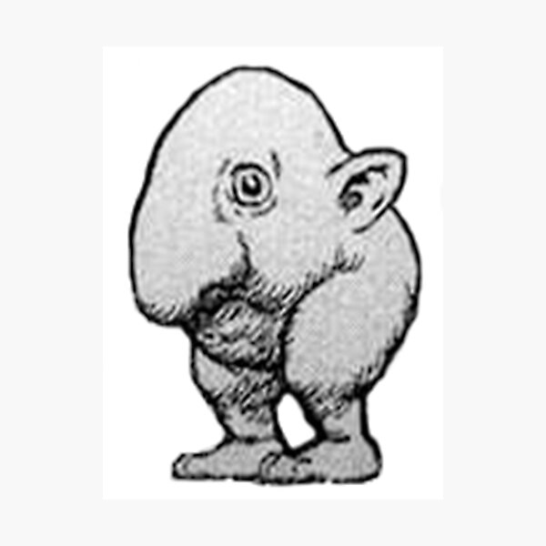 Schnoz Photographic Prints | Redbubble