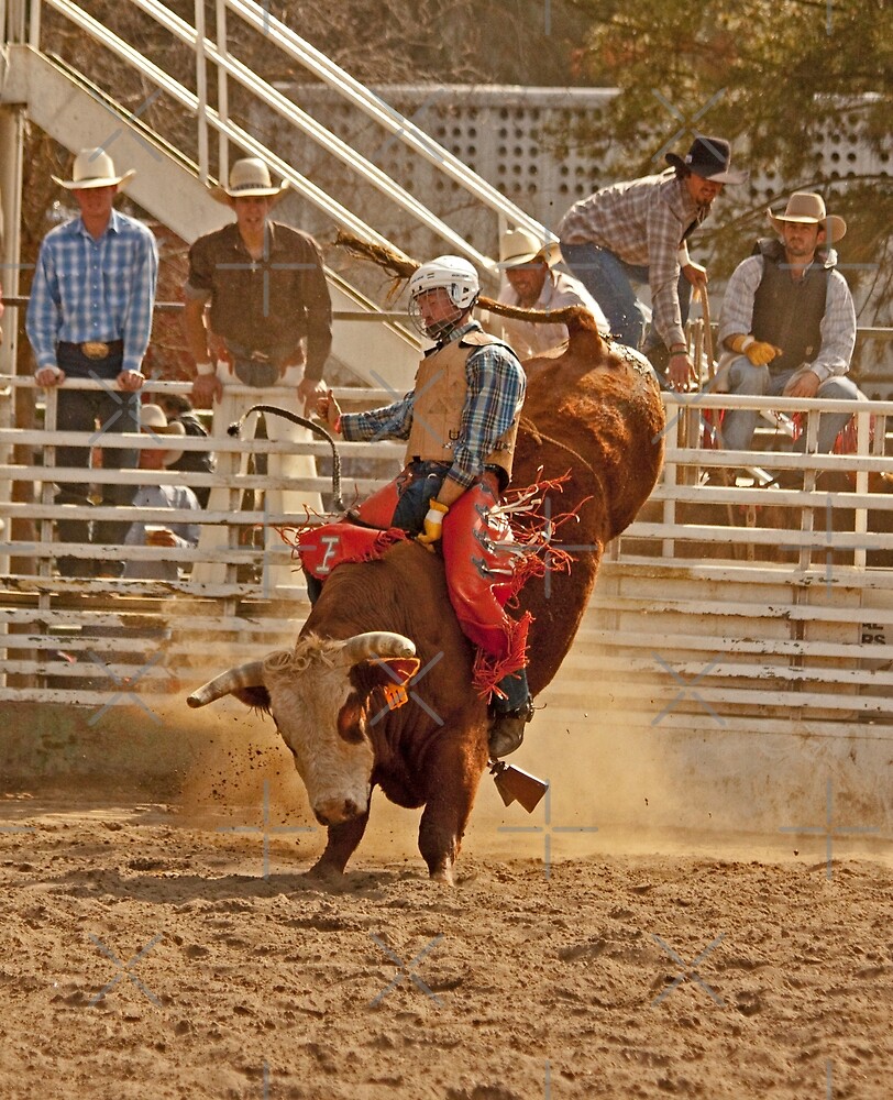 "Rodeo Cowboy Riding a Bull" by Buckwhite | Redbubble