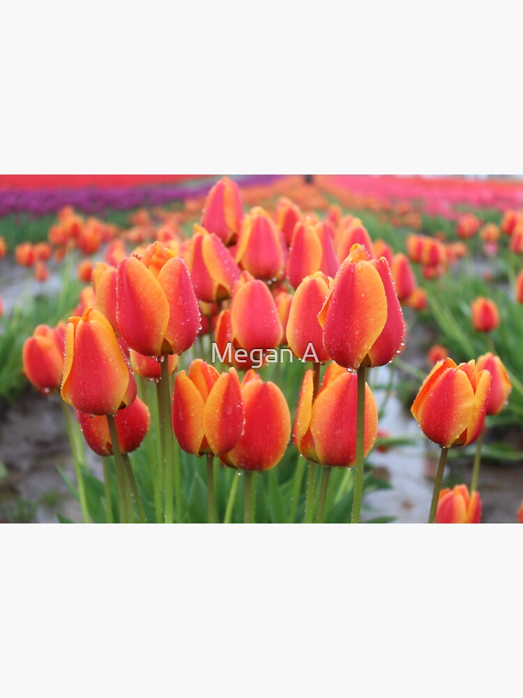 "cluster" Sticker by MeganEA | Redbubble