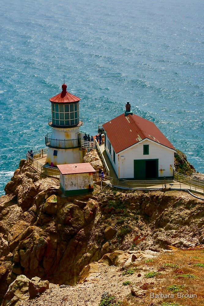 "Point Reyes Lighthouse" by Barbara Brown | Redbubble