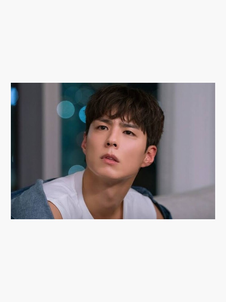 "Park bo gum sticker " Sticker for Sale by PIKABOOO | Redbubble