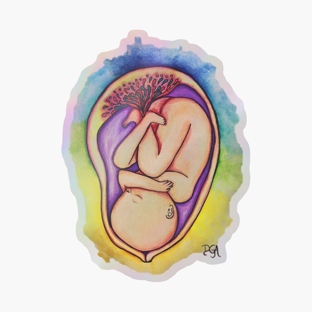 Fetus Art