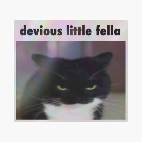 Poor Little Fella Meme By Leftoverstza Memedroid