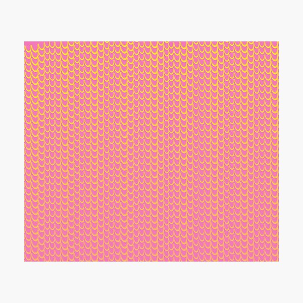 Lámina fotográfica «Escala de color rosa patrón de colores» de KimTee ...
