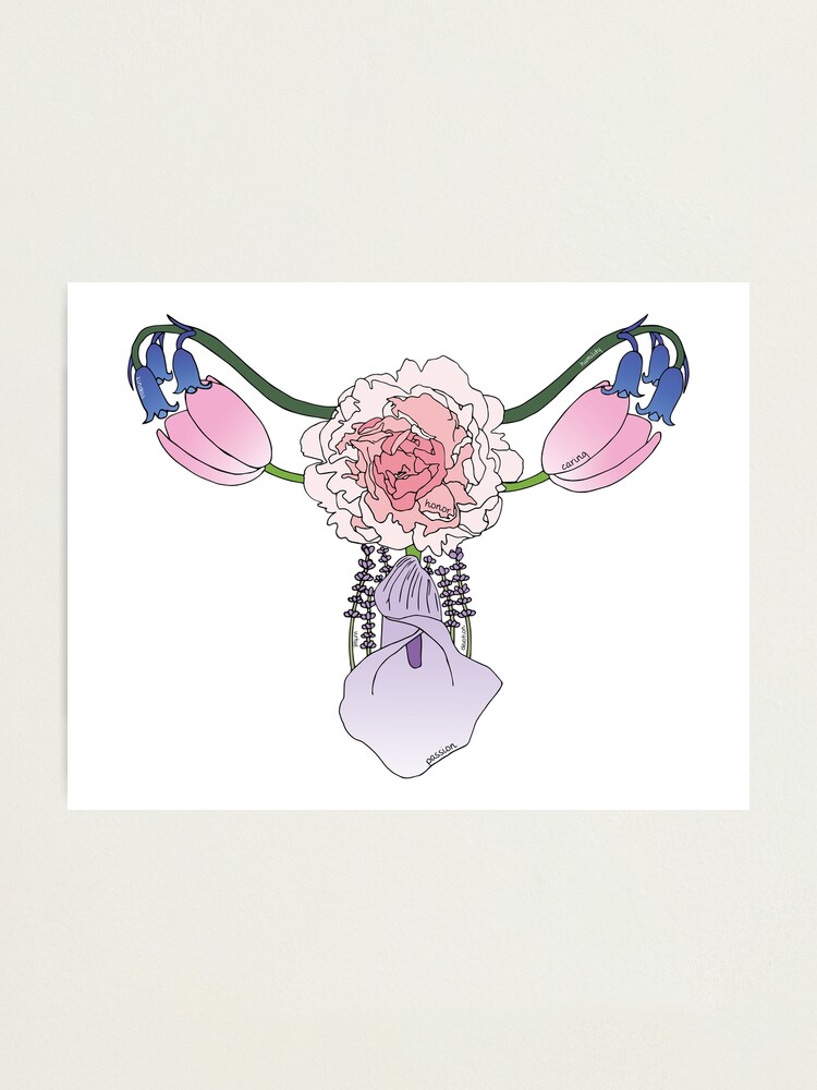 "Flower Uterus (Colored)" Photographic Print by devaney-ashley | Redbubble