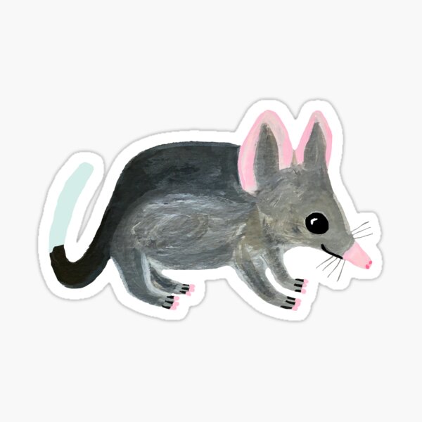 "Australian Bilby Rabbit Eared Bandicoot" Sticker by lacasarosa | Redbubble
