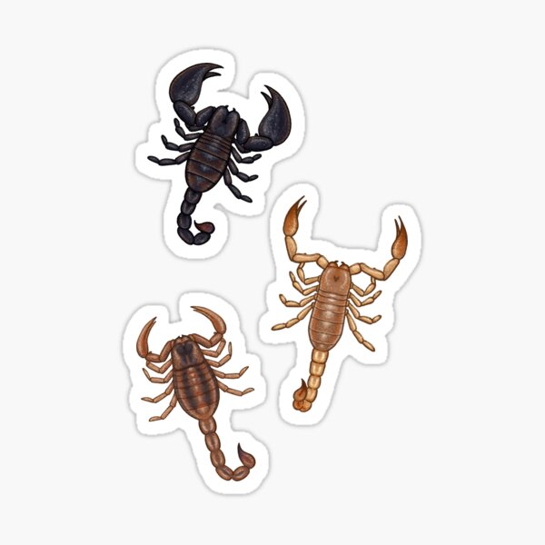 "Scorpions" Sticker for Sale by tacky-frog | Redbubble