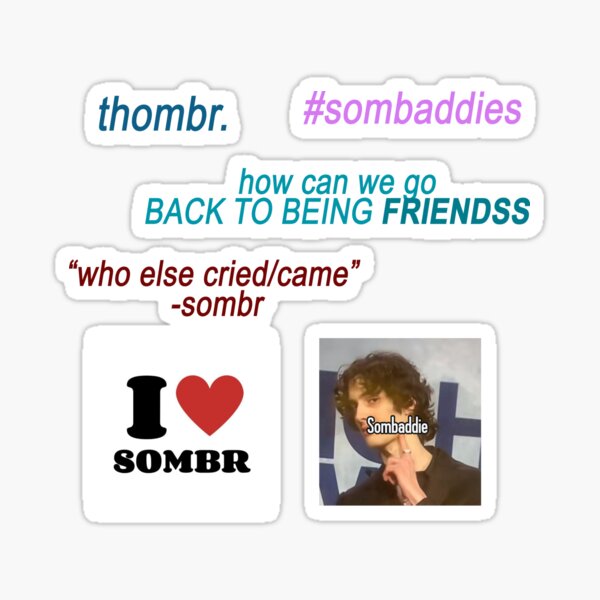 "Sombr quotes meme bundle" Sticker for Sale by zacharydrury666 | Redbubble