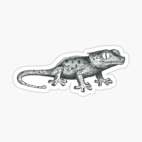 " Lizard - Crested Gecko" Sticker for Sale by Sn1ver | Redbubble