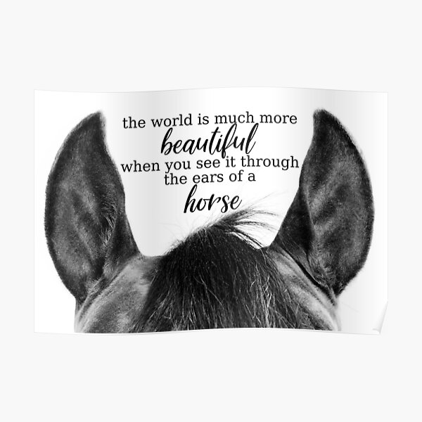 "Equestrian Quote" Poster by syriana94 | Redbubble