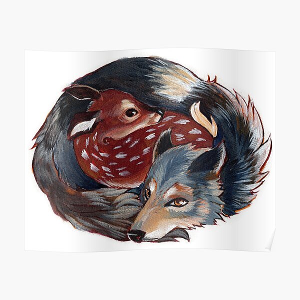 "Predator Prey Entangled - Wolf and Deer" Poster by SecretDaydream ...