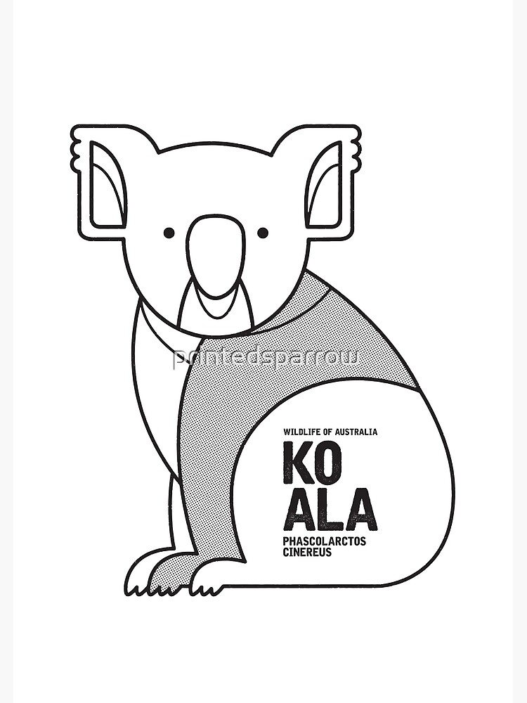 "Koala, Wildlife of Australia" Poster by printedsparrow | Redbubble