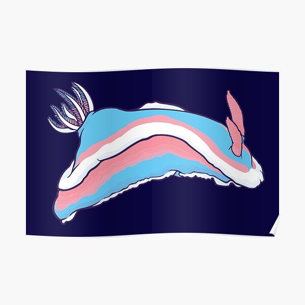 "Ethereal Sea Transgender" Poster by softbiology | Redbubble
