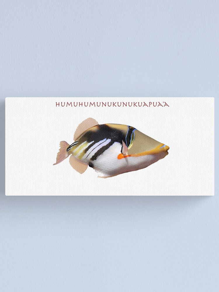 "Humuhumunukunukuapua'a" Canvas Print for Sale by xWILLx | Redbubble