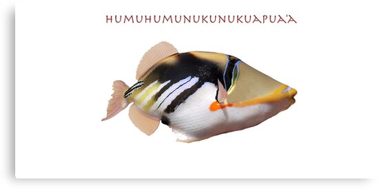 "Humuhumunukunukuapua'a" Canvas Print by xWILLx | Redbubble