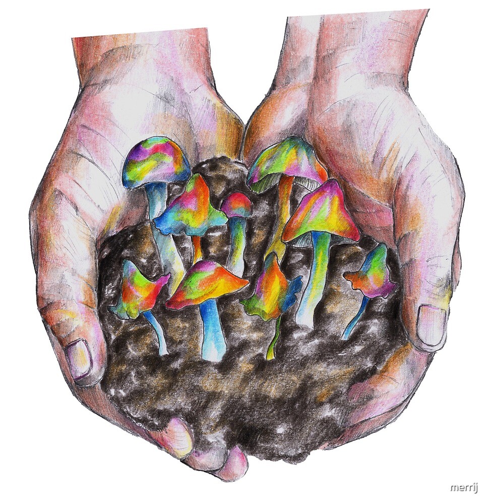 "Magic Mushrooms" by merrij | Redbubble