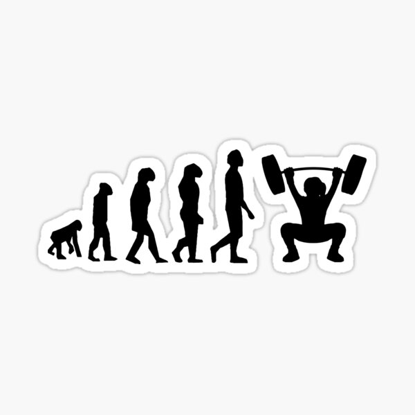 "Evolution of weightlifting athletics weight training shirt" Sticker ...