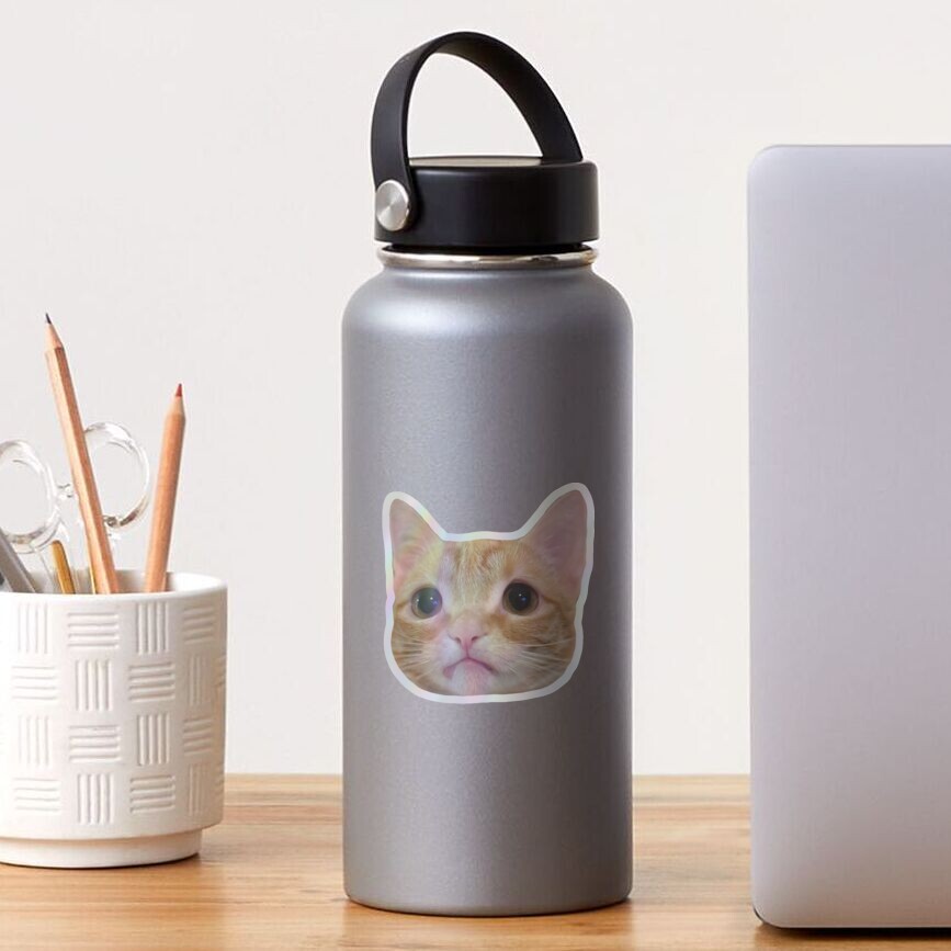 "Nacho's Cute Face #3" Sticker for Sale by nacho-dwarf-cat | Redbubble