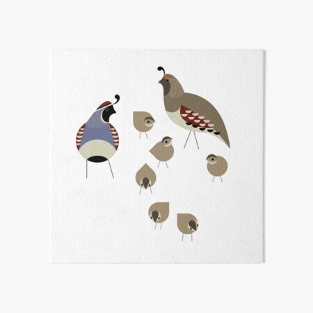 "Quail Family" Art Board Print for Sale by Kenneth Scott Partridge ...
