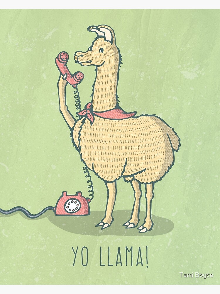 "Llama, "Yo Llama!"" Art Print for Sale by tamiboyce | Redbubble