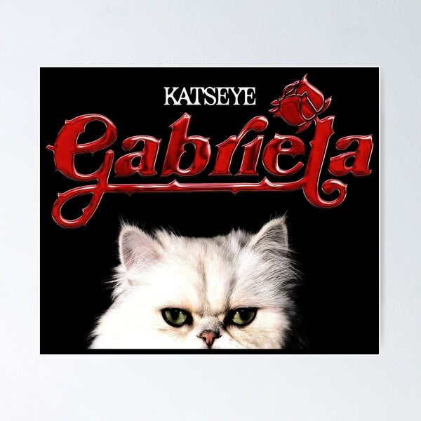 "KATSEYE Gabriela" Poster for Sale by FrankLaraw | Redbubble