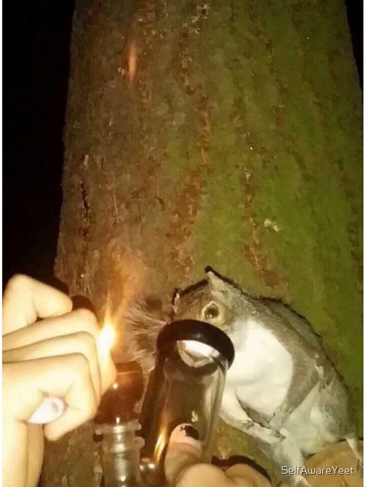 "Squirrel Hitting Bong" iPhone Case for Sale by SelfAwareYeet | Redbubble