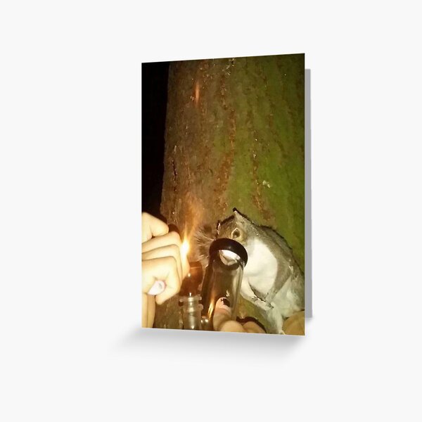 "Squirrel Hitting Bong" Greeting Card for Sale by SelfAwareYeet | Redbubble