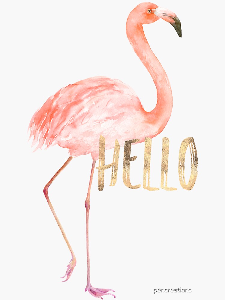 "Hello Pink Flamingo" Sticker by pencreations | Redbubble