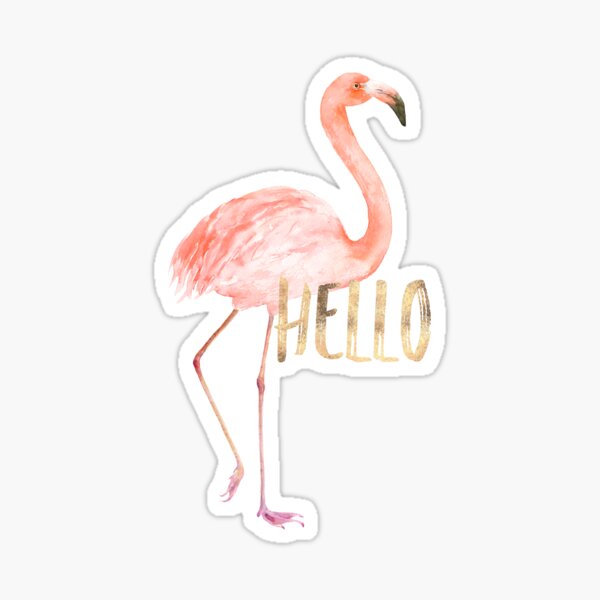 "Hello Pink Flamingo" Sticker by pencreations | Redbubble