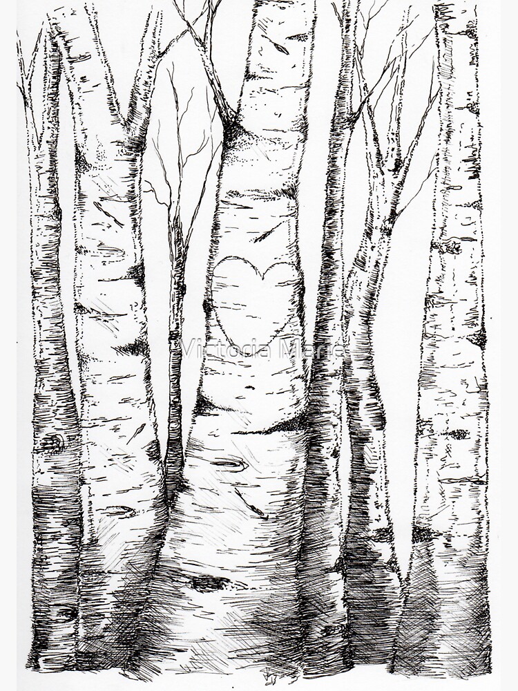 "Original Art Tree Art Illustration Drawing Nature Art Birch Aspen Tree ...