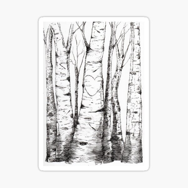 "Original Art Tree Art Illustration Drawing Nature Art Birch Aspen Tree ...