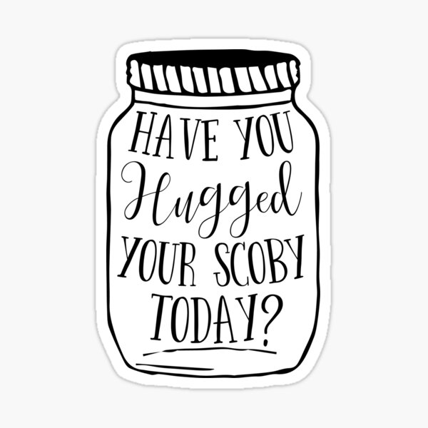 "Have You Hugged You Scoby Today?" Sticker for Sale by justinea | Redbubble